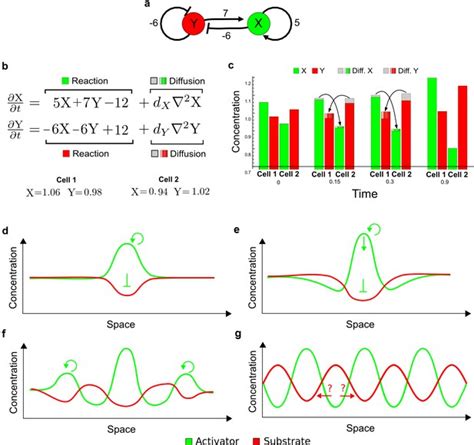 Figures And Data In High Throughput Mathematical Analysis Identifies Turing Networks For