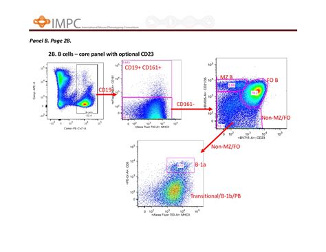 Parameters And Metadata