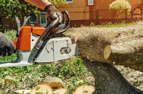 Tree Removal Permit Get A Site Plan