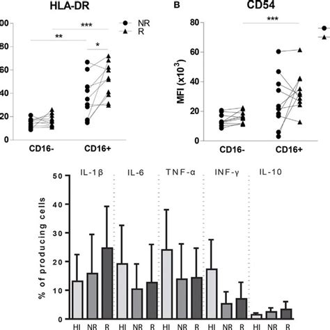 Phenotypic And Functional Characteristics Of Circulating Monocytes In