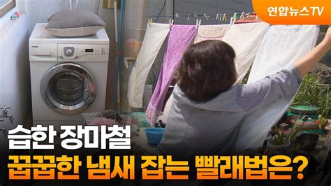 센터웨더 습한 장마철 꿉꿉한 냄새 잡는 빨래법은 연합뉴스tv Yonhapnewstv Youtube