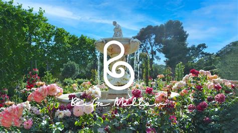 따뜻한 나의 봄의 정원🌷 마음이 맑아지는 기분좋은 봄 연주곡 Youtube