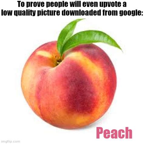 Im Sure Imgflip