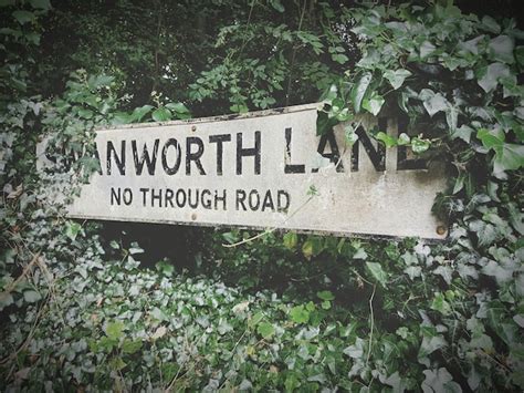 Premium Photo Close Up Of Information Sign On Tree