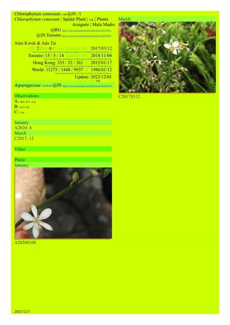 Pdf Chlorophytum Comosum 吊蘭 In