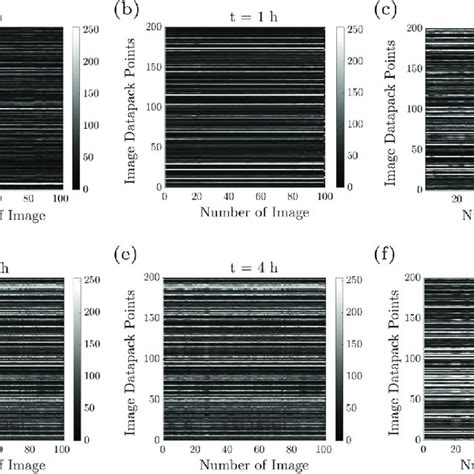 Time History Speckle Pattern Thsp Formed By Tracking 200 Random Download Scientific Diagram