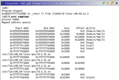 Debugger The Resulting Target Process Has No Mapping To The Static Image · Issue 4583