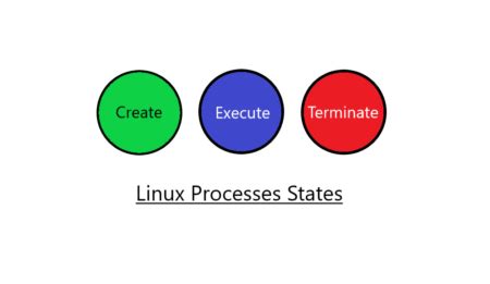 The Essential Guide To Understanding Linux Process Status TecAdmin