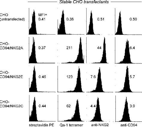Figure 3 From Recognition Of The Class Ib Molecule Qa 1b By Putative