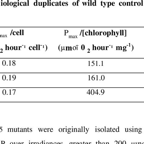 Maximum Oxygen Evolution Per Cell And Chlorophyll Concentration For