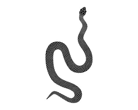 Snake Svg Python Svg Reptile Svg Cut File Snake Cricut Svg