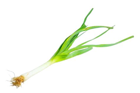 Organic Leeks 1kg Sunfresh Organics