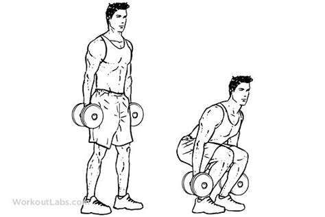 Dumbbell Squats Dumbbell Squat Workout Guide Squat Workout