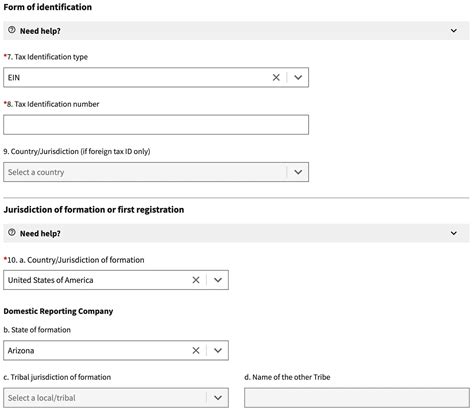 How To File A Boi Report A Step By Step Guide Sdo Cpa Llc