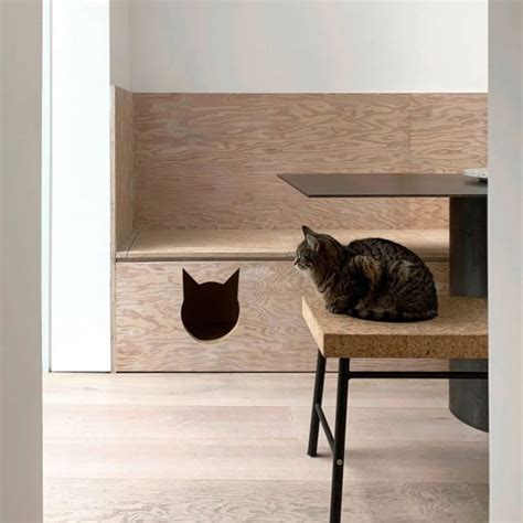 Eight Homes Where Internal Windows Maximise Light