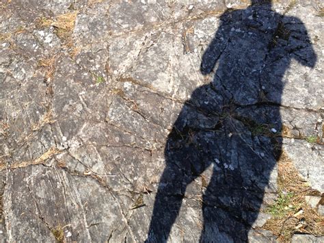 Our Sexual Universe Psychological Universe Metaverse