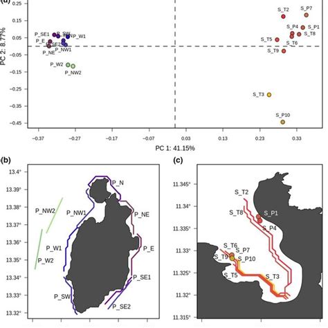 A Compositional Differences Pcoa From The Motus Presenceabsence Download Scientific