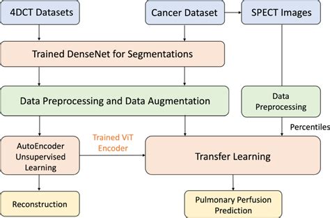 perfusion estimation from dynamic non contrast computed tomography