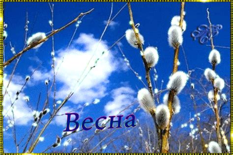 Анимированная открытка Весна вербное воскресенье