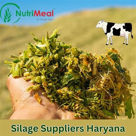Silage Agro Private Limited