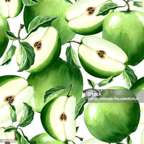 나뭇잎이 있는 녹색 사과의 매끄러운 패턴입니다 디자인을 위한  손으로 그린 그림입니다 가냘픈에 대한 스톡 벡터 아트 및 기타 이미지 Istock
