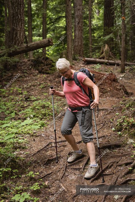 Mature Woman With Hiking Poles Walking In The Forest — Explore
