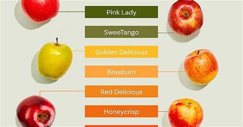 Apple Taste Cahrt Album On Imgur