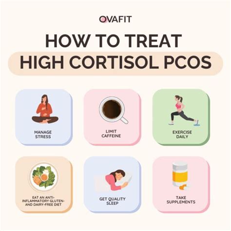 High Cortisol And Pcos Everything You Need To Know