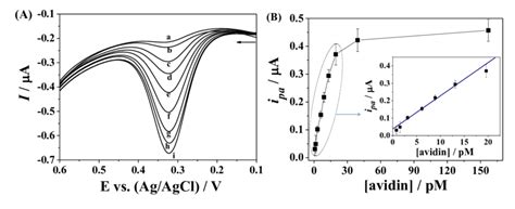 A Dpvs Of The Sensing Electrode At Different Concentrations Of Avidin Download Scientific