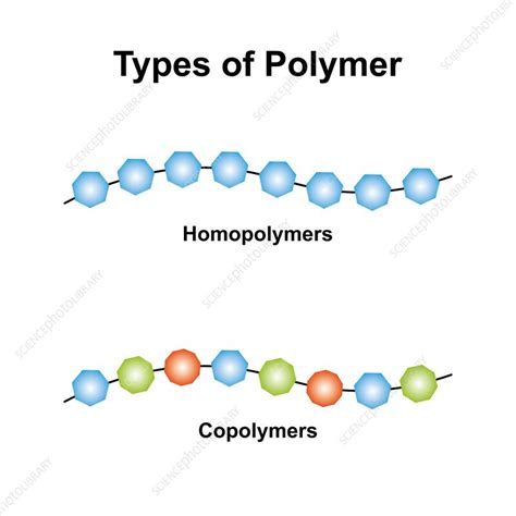 Copolymer Types Illustration Stock Image F042 8137 Science Photo Library