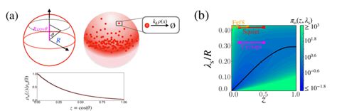 Fig S3 Cost Precision Trade Off Of The Morphogen Dynamics On A Download Scientific Diagram