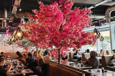 Blue Sakura Leeds Japanese Style Tapas