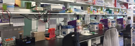 research neuroscience lab ecu