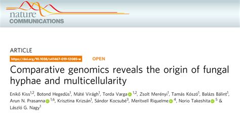 真菌基因组研究高分策略（一）：比较基因组揭示真菌菌丝和多细胞的起源 知乎