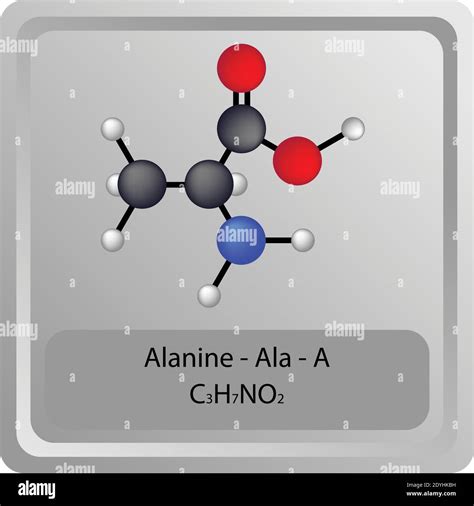 Alanine Structure