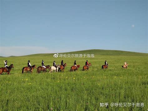 呼伦贝尔旅游攻略什么时候去呼伦贝尔最好详细月份解析在这里 知乎