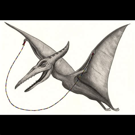 Realistic Pterodactyl
