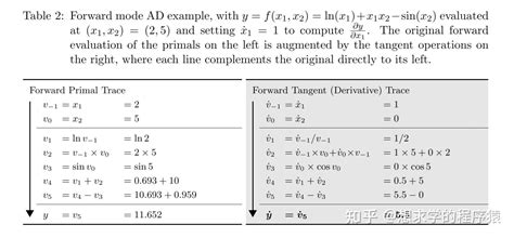 Automatic Differentiation 自动微分 知乎