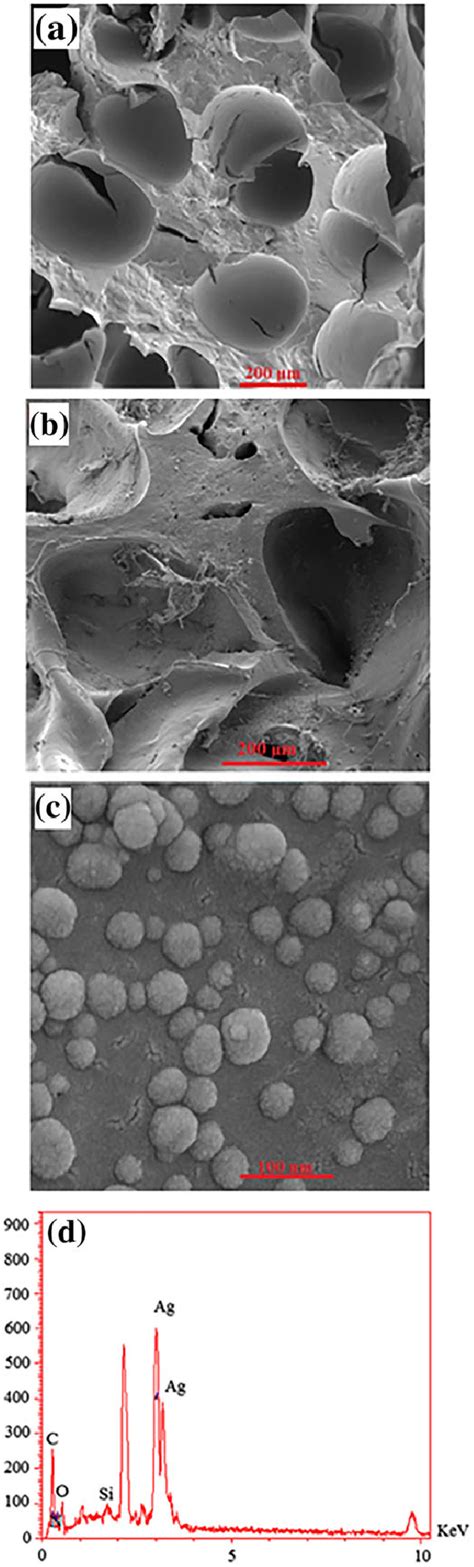 The Sem Micrographs Of A A Edta Peg600 Oa Poss B C Download Scientific Diagram