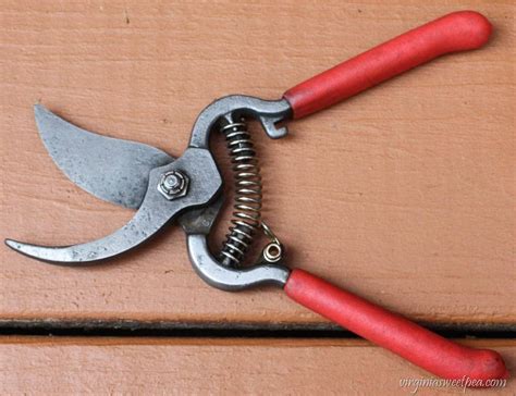 How To Easily Remove Rust From Tools Sweet Pea