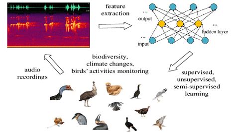 Training Autoencoders From A Large Amount Of Bird Sound Data Download Scientific Diagram