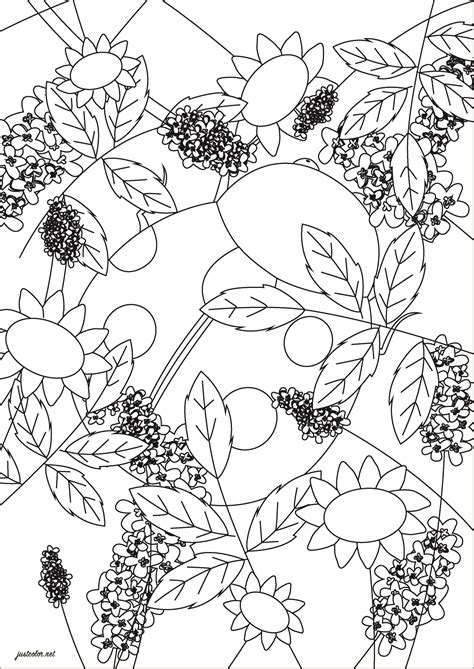 Foglie Fiori E Vegetazione Disegni Da Colorare Per Adulti