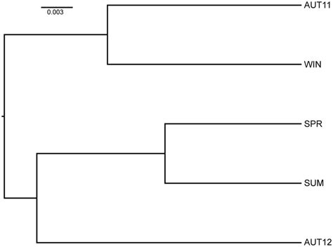 Upgma Dendrogram Using Neis Genetic Distance Between Chronological Download Scientific Diagram