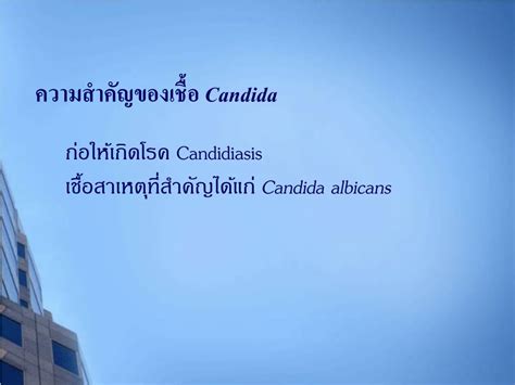 Ppt การใช้ Chromogenic Medium ในการวินิจฉัยเชื้อ Candida Spp จาก