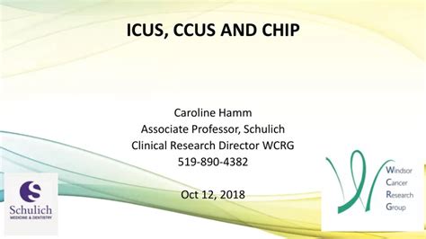 Ppt Icus Ccus And Chip Caroline Hamm Associate Professor Schulich Powerpoint Presentation