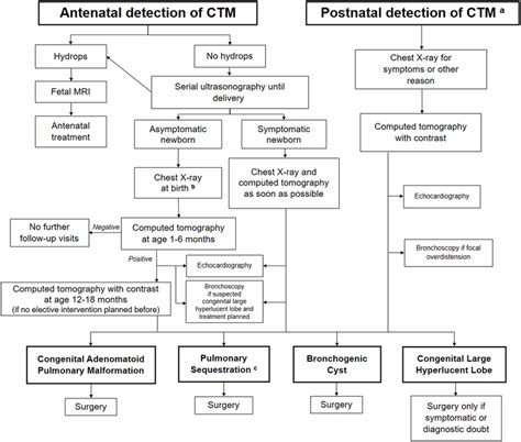 Proposed Algorithm For The Assessment And Follow Up Of Congenital