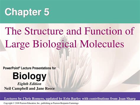The Structure And Function Of Large Biological Molecules Ppt Download