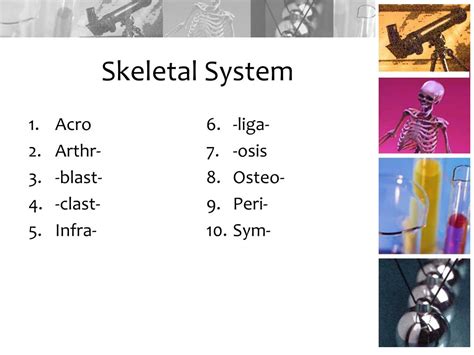 Ppt Prefix Suffix And Root Words Powerpoint Presentation Free Download Id 2044678