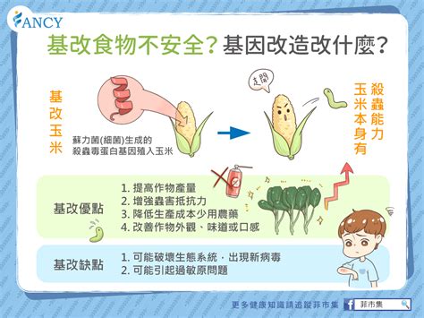 基改食物不安全？基因改造改什麼？【知識專題】