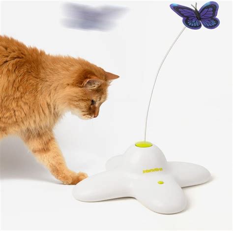 ALLFORPAWS Flutter Bug Interactive Cat Toy White Chewy